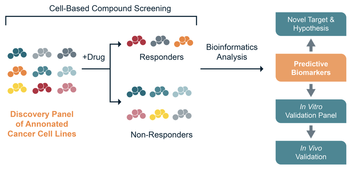 Biomarker Discovery via In Vitro Screening