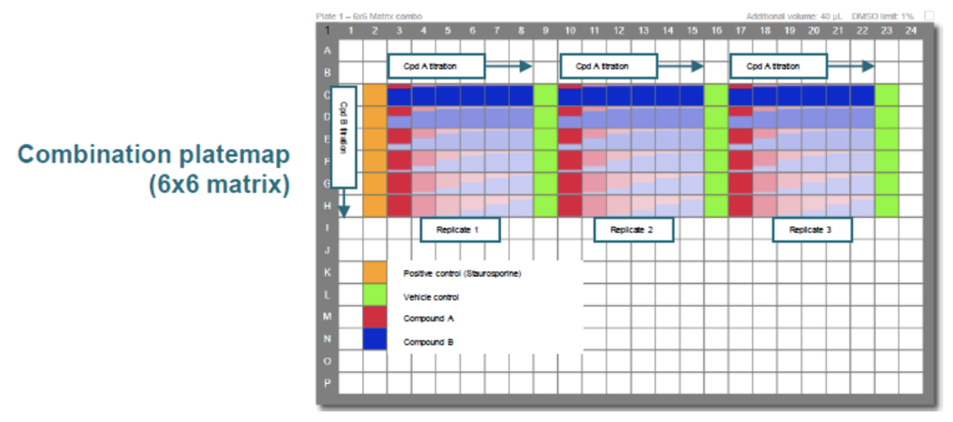 Developing Effective Dosing Strategies by Leveraging 3D In Vitro Models