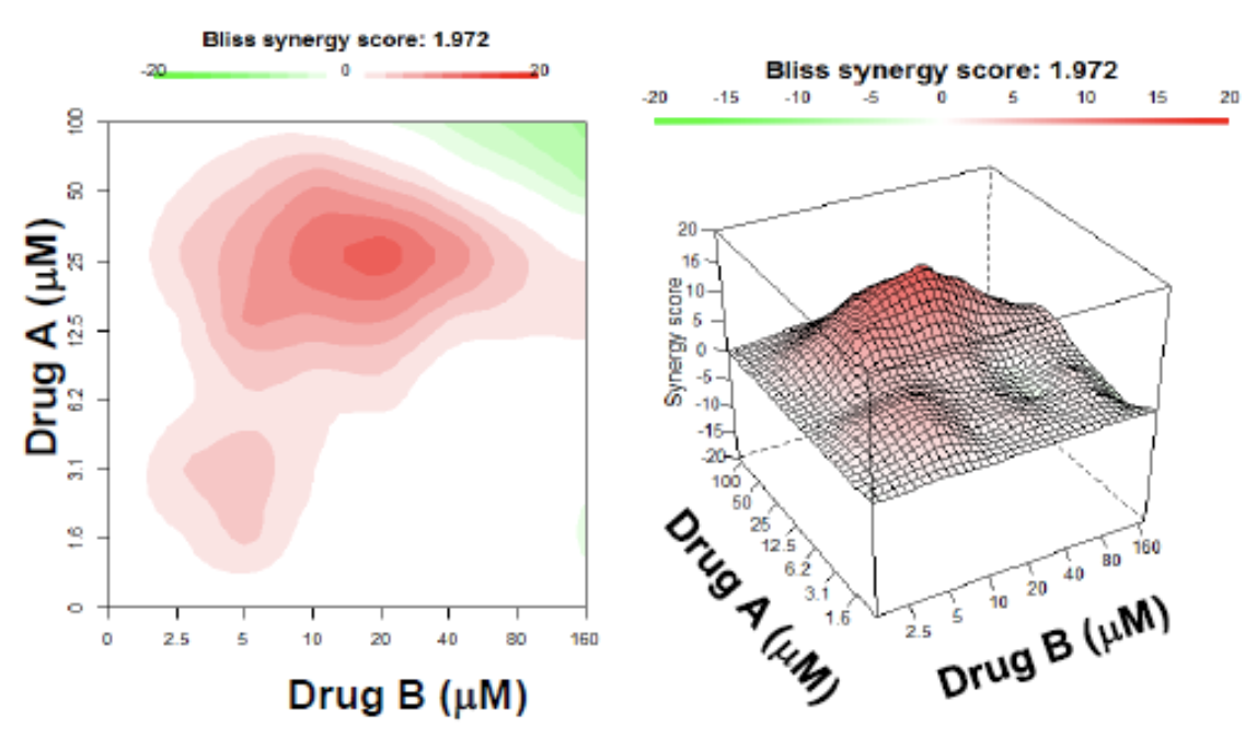 Developing Effective Dosing Strategies by Leveraging 3D In Vitro Models