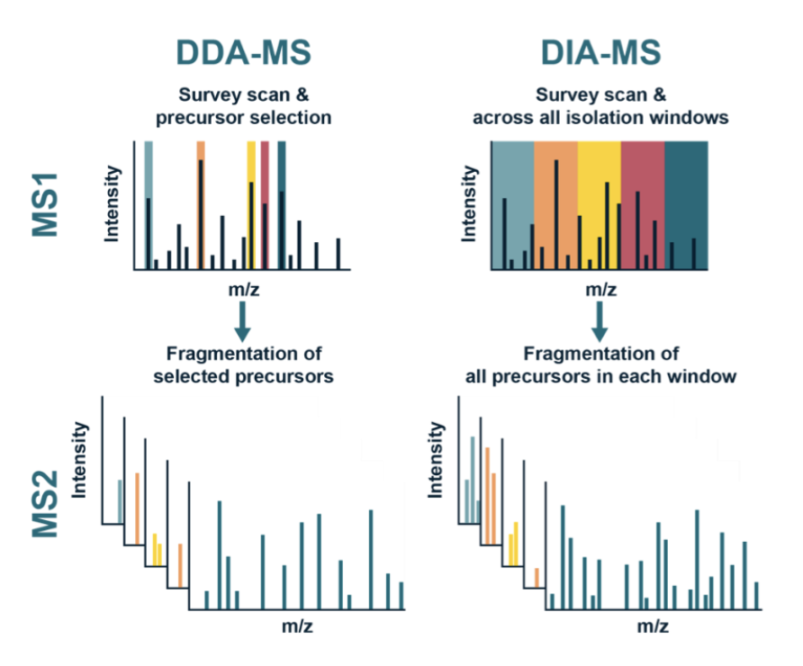 Next Generation Discovery Proteomics The Power Of Ion Mobility Mass Spectrometry With Data 