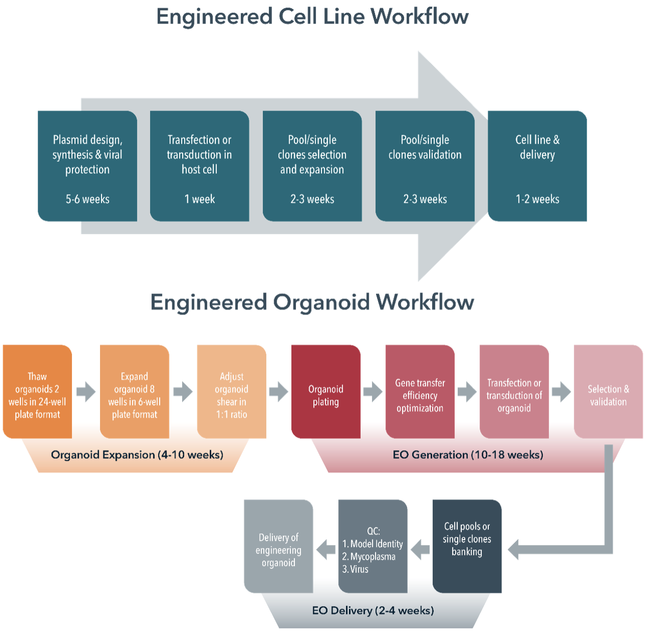 Applications of Genetically Engineered Organoids and Cell Lines