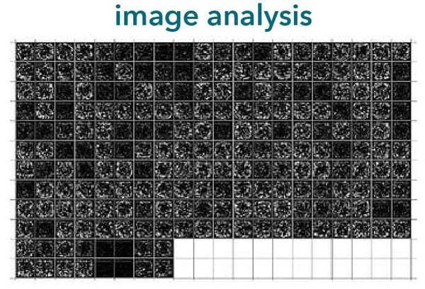 Next-Generation Lead Compound Identification and Optimization: Using ...