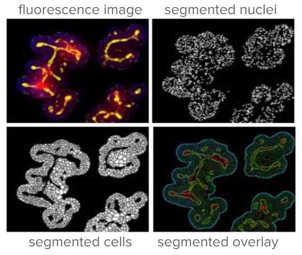 Next-Generation Lead Compound Identification and Optimization: Using ...