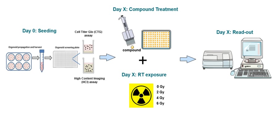 Unlocking the Potential of Radiosensitizers with Patient-derived Tumor ...