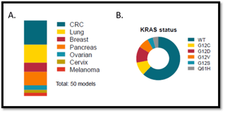 Pan-cancer 'Assay-ready' Organoid Drug Screening