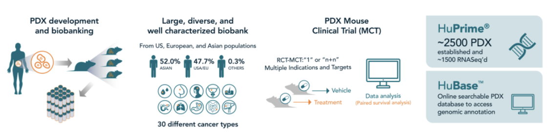 Genetic Abnormality Spectrum in Hematologic Cancers