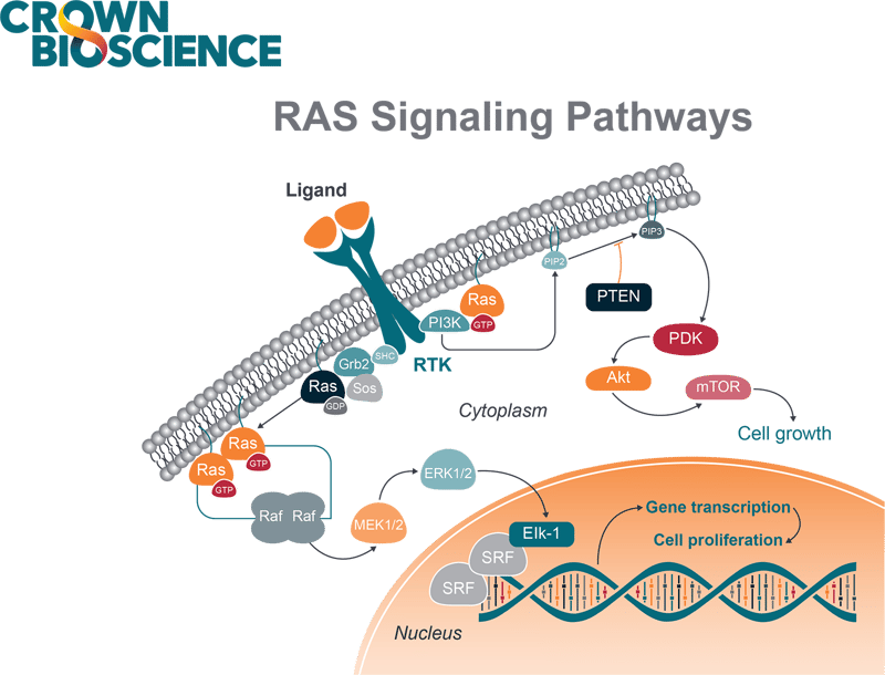 RAS: Targeting the Impossible
