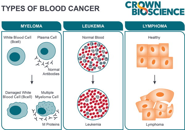 Genetic Abnormality Spectrum in Hematologic Cancers