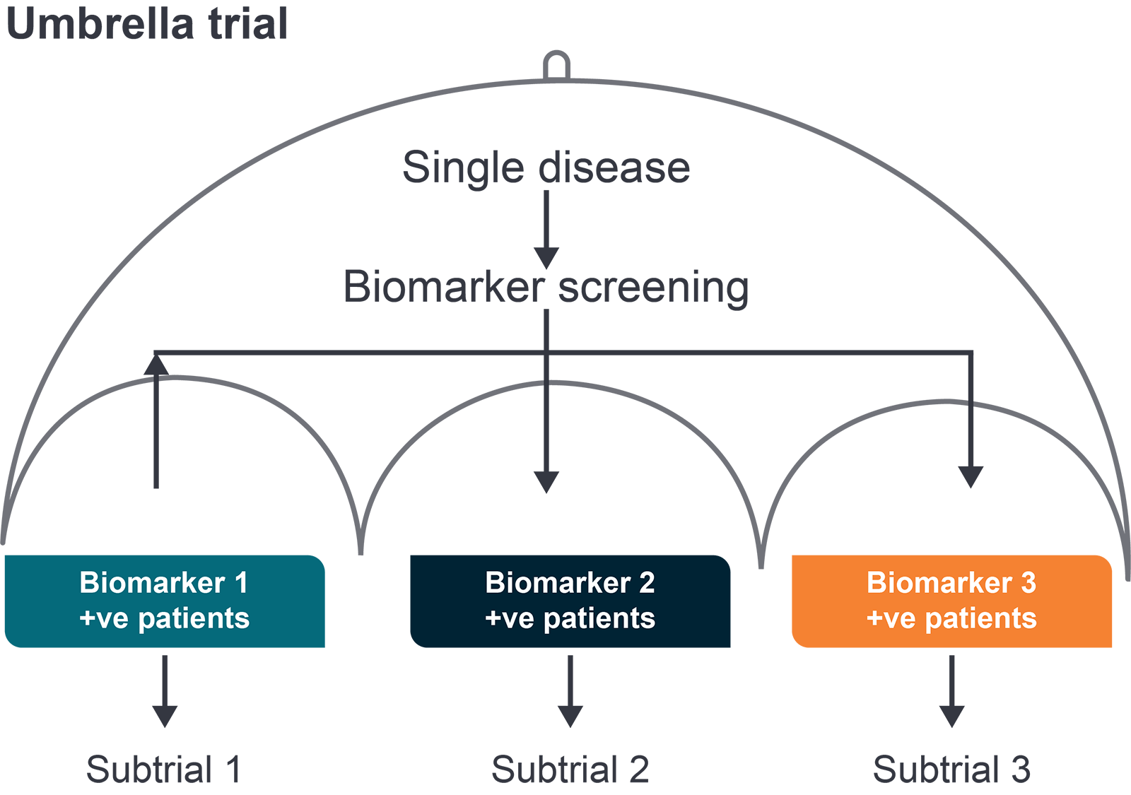 Basket and Umbrella Clinical Trials – What Are They and How Can They Be ...