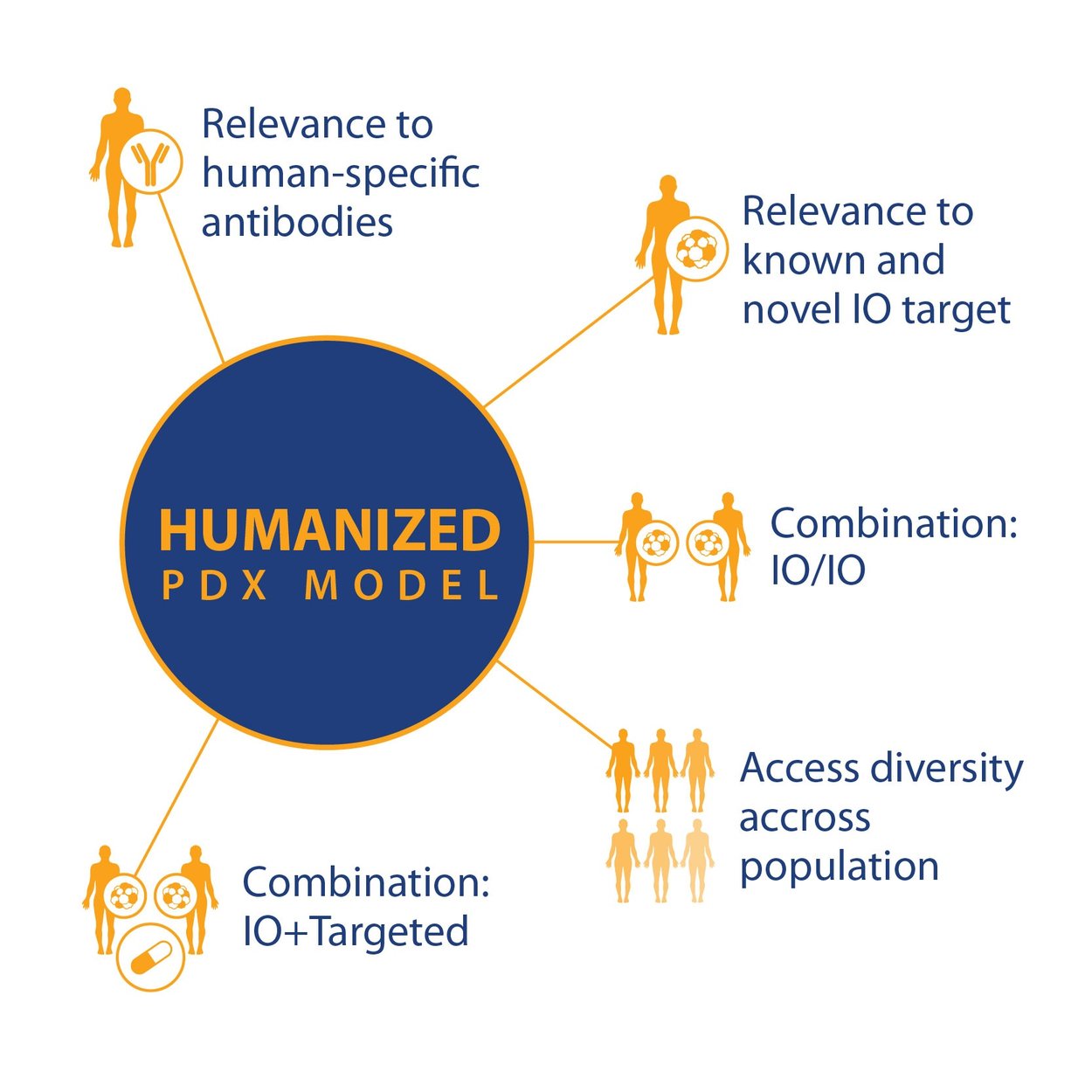 How to Use PDX in Immuno-Oncology Studies
