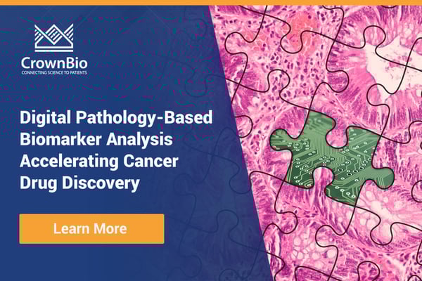 Accelerating Cancer Drug Discovery with Digital Pathology-Based ...
