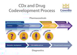 The Importance of Companion Diagnostics