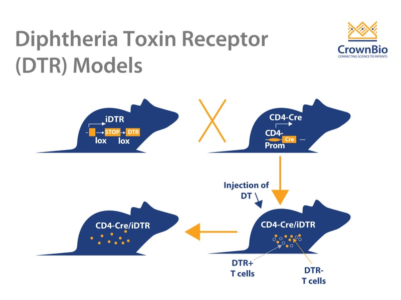 Evaluating Immunotherapy Mechanism of Action with Immune Cell Lineage ...