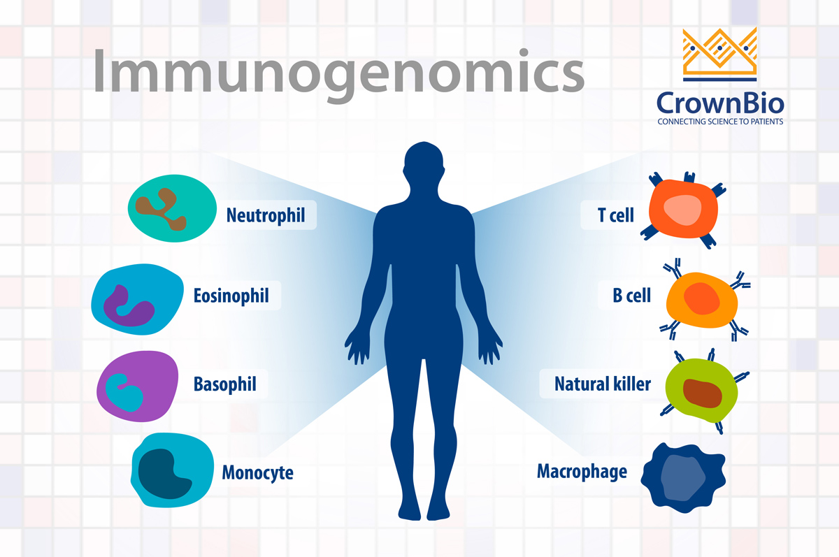 Immunogenomics in Oncology Drug Development