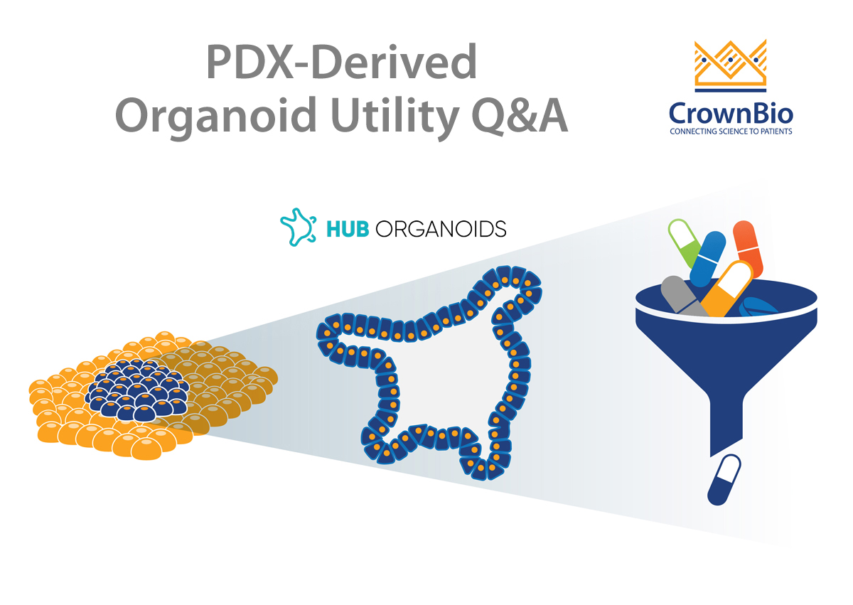 Top 12 Questions: Applications of PDXO