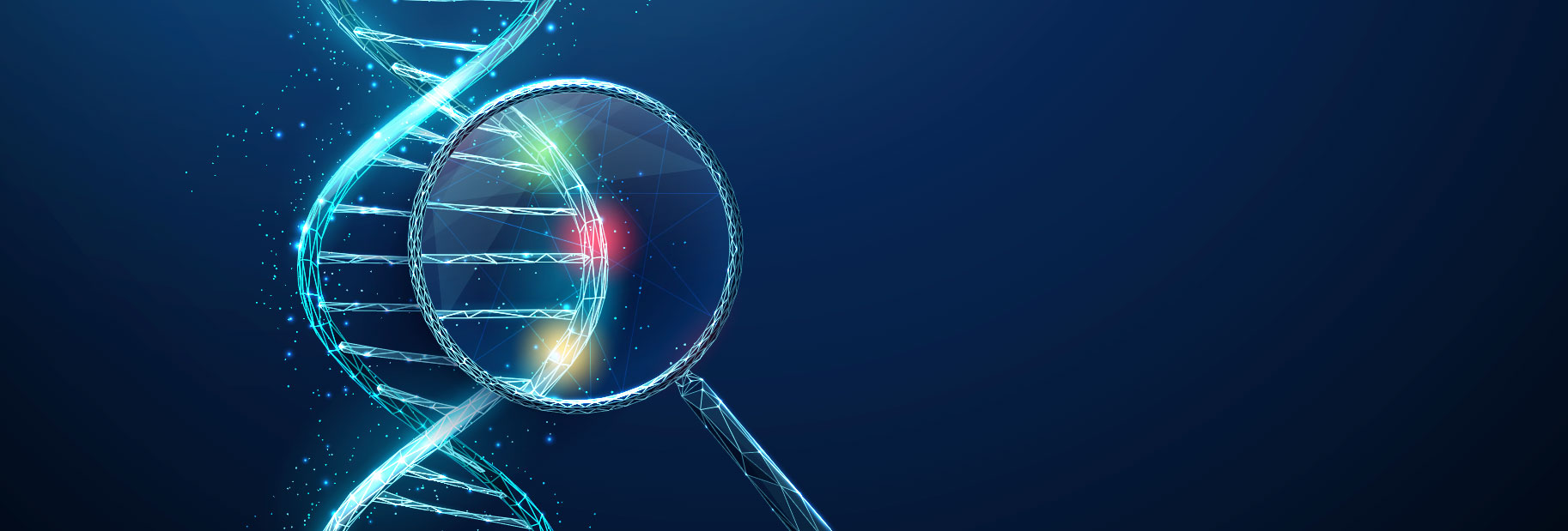 Navigating Phase 1: Target Identification and Validation in Drug Discovery